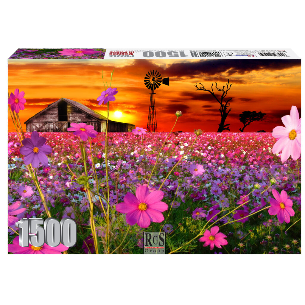 1500- RGS – Puzzles Unlimited